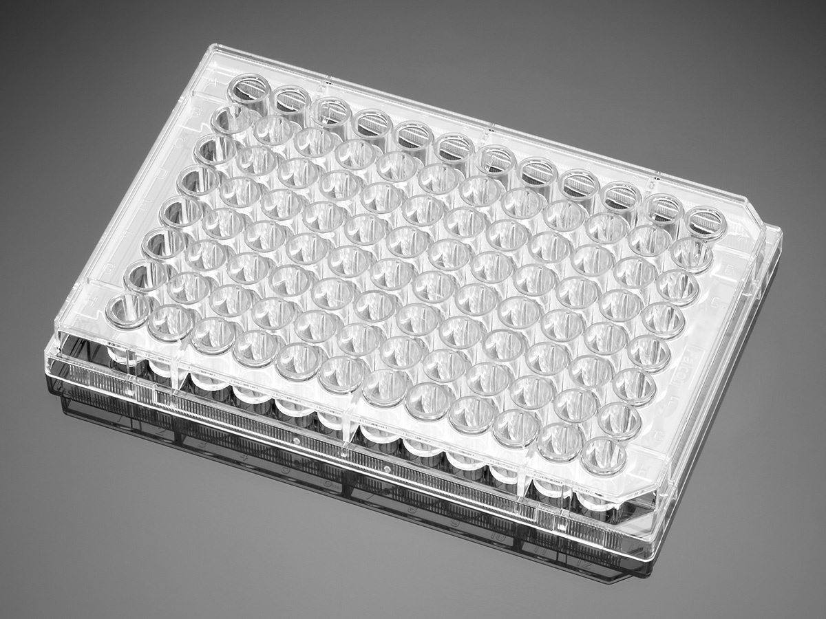 Falcon 96 well Polystyrene Microplates 
