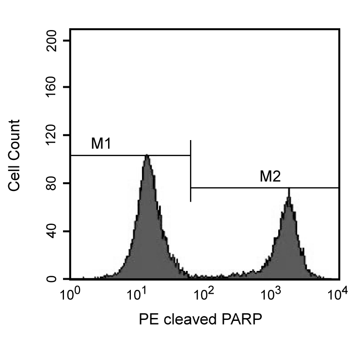 BD PE Mouse Anti-Cleaved PARP (Asp214) | 캐시바이