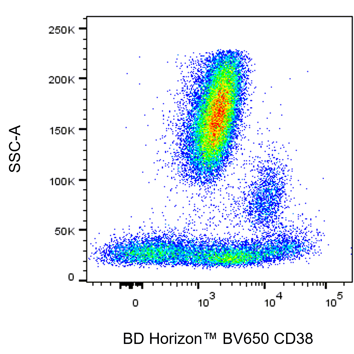 BD BV650 Mouse Anti-Human CD38 | 캐시바이
