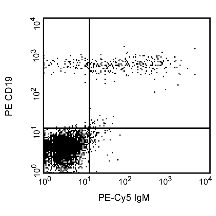 BD PE-Cy5 Mouse Anti-Human IgM | 캐시바이