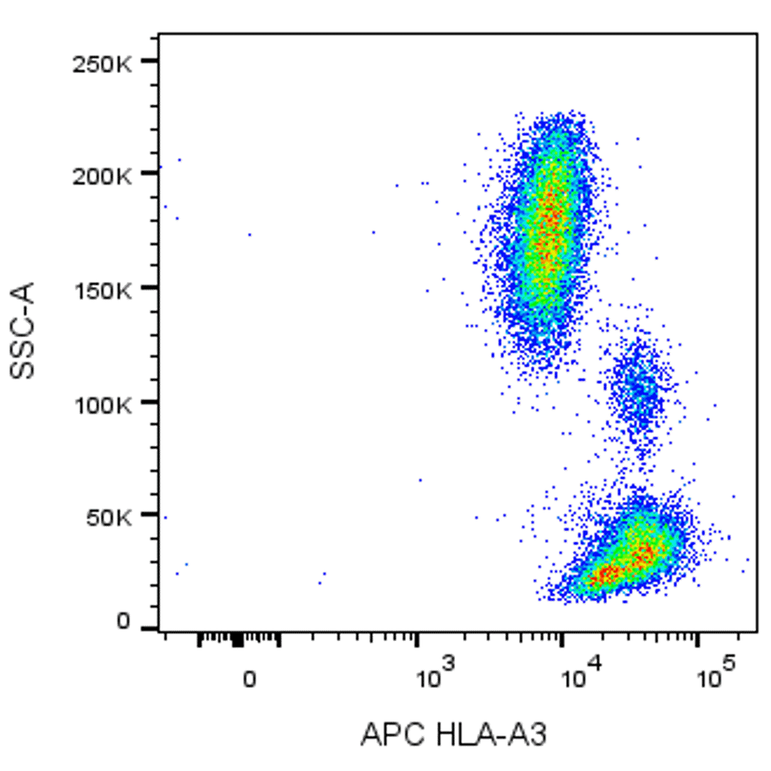 BD APC Mouse Anti-Human HLA-A3 | 캐시바이