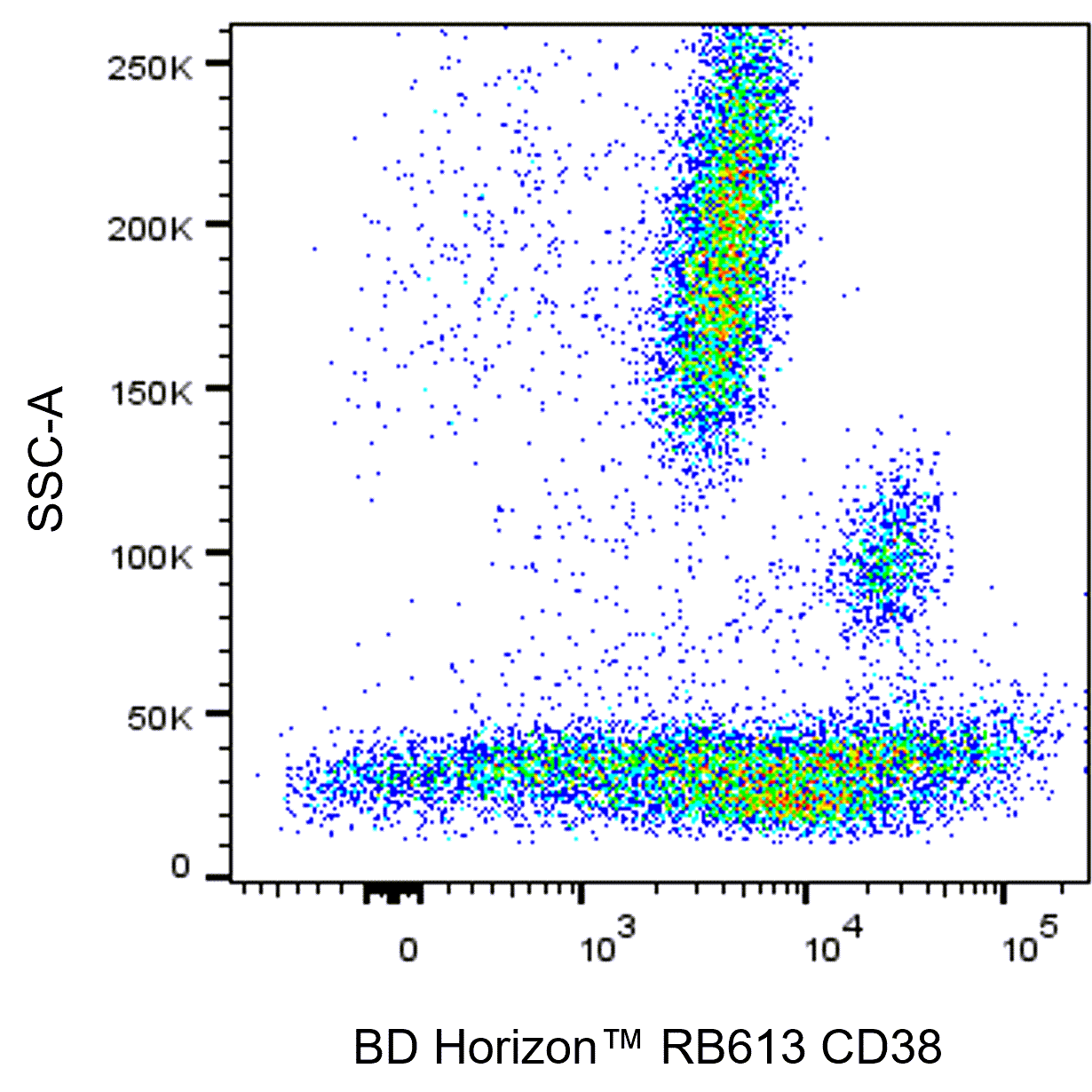 BD RB613 Mouse Anti-Human CD38 | 캐시바이