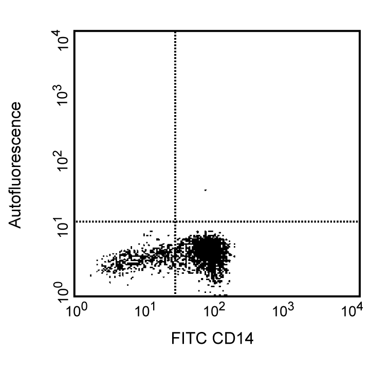 BD PE Mouse IgG2a, κ Isotype Control | 캐시바이