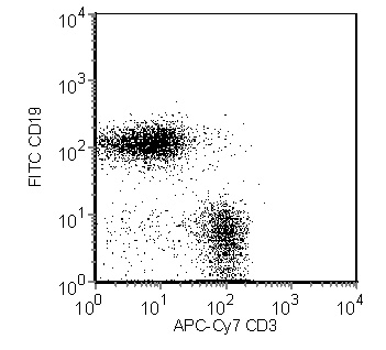 BD APC-Cy7 Rat Anti-Mouse CD3 Molecular Complex | 캐시바이