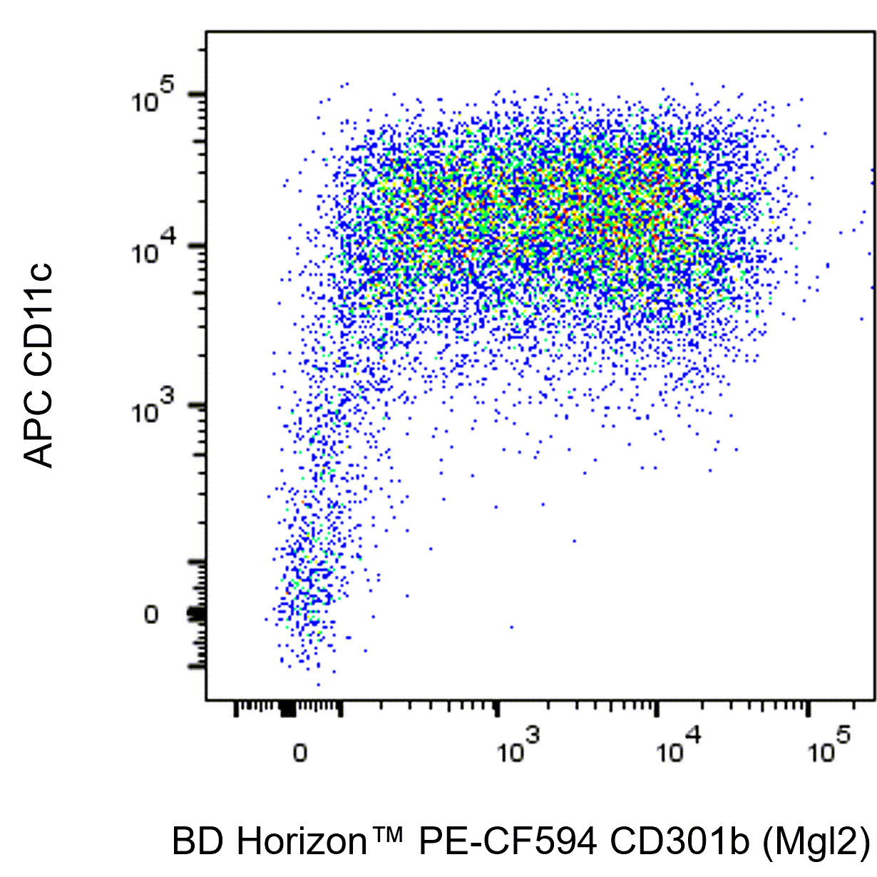 BD PE-CF594 Rat Anti-Mouse CD301b (Mgl2) | 캐시바이