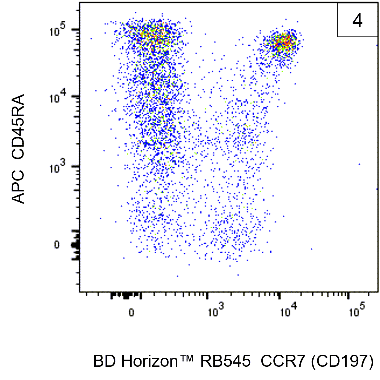 BD RB545 Mouse Anti-Human CCR7 (CD197) | 캐시바이