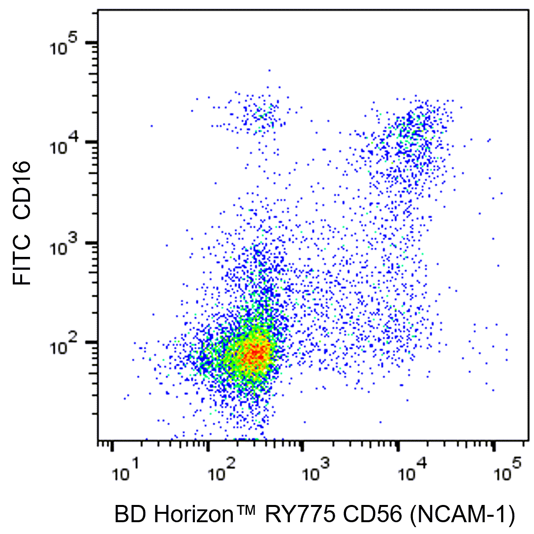 BD RY775 Mouse Anti-Human CD56 (NCAM-1) | 캐시바이