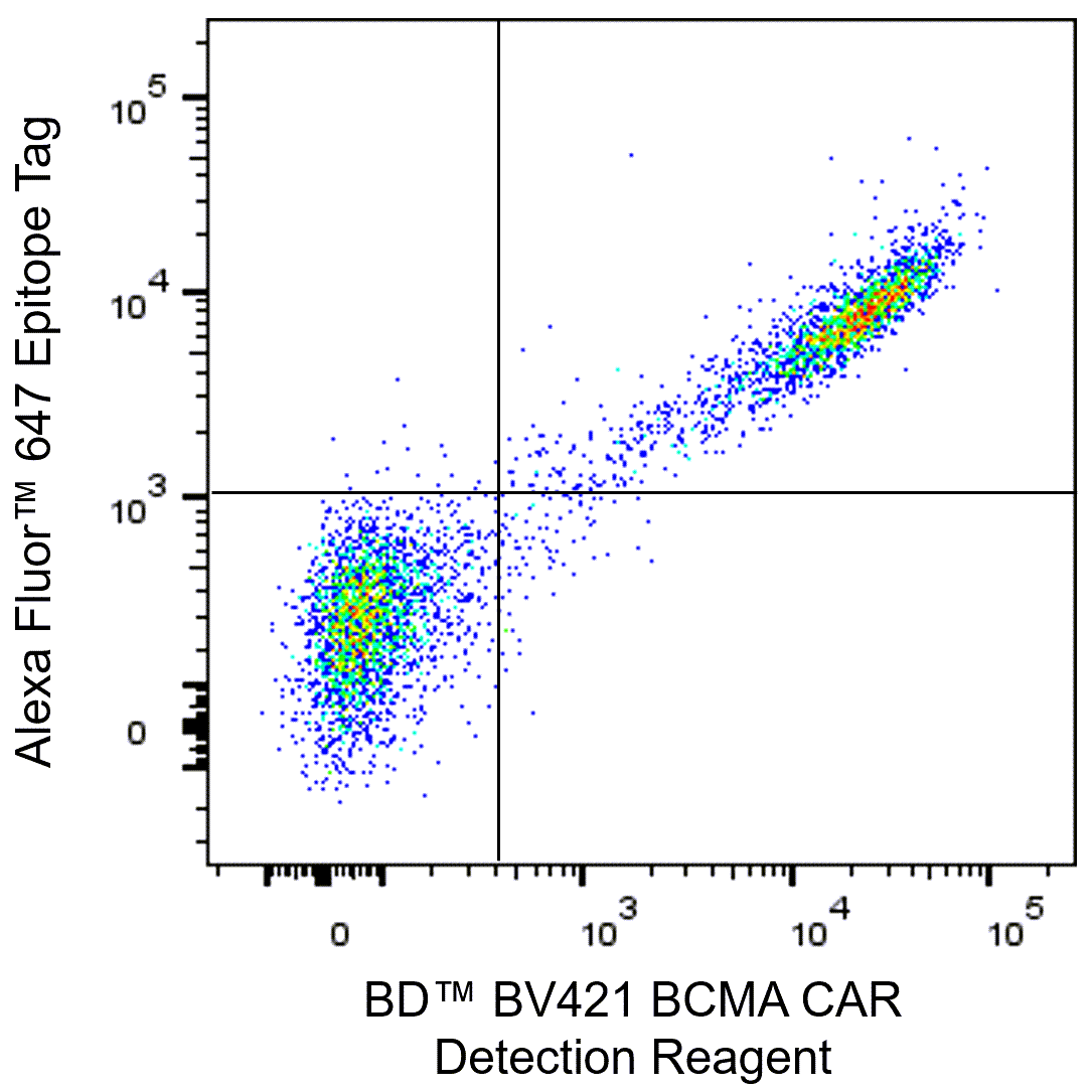 BD BV421 BCMA CAR Detection Reagent | 캐시바이
