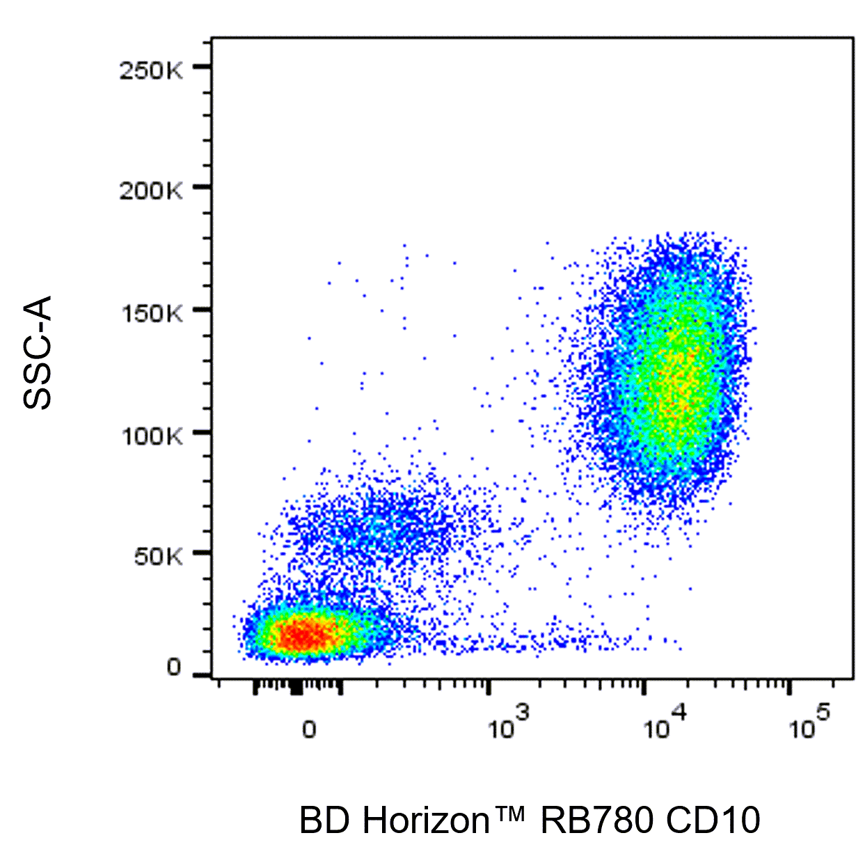 BD RB780 Mouse Anti-Human CD10 | 캐시바이
