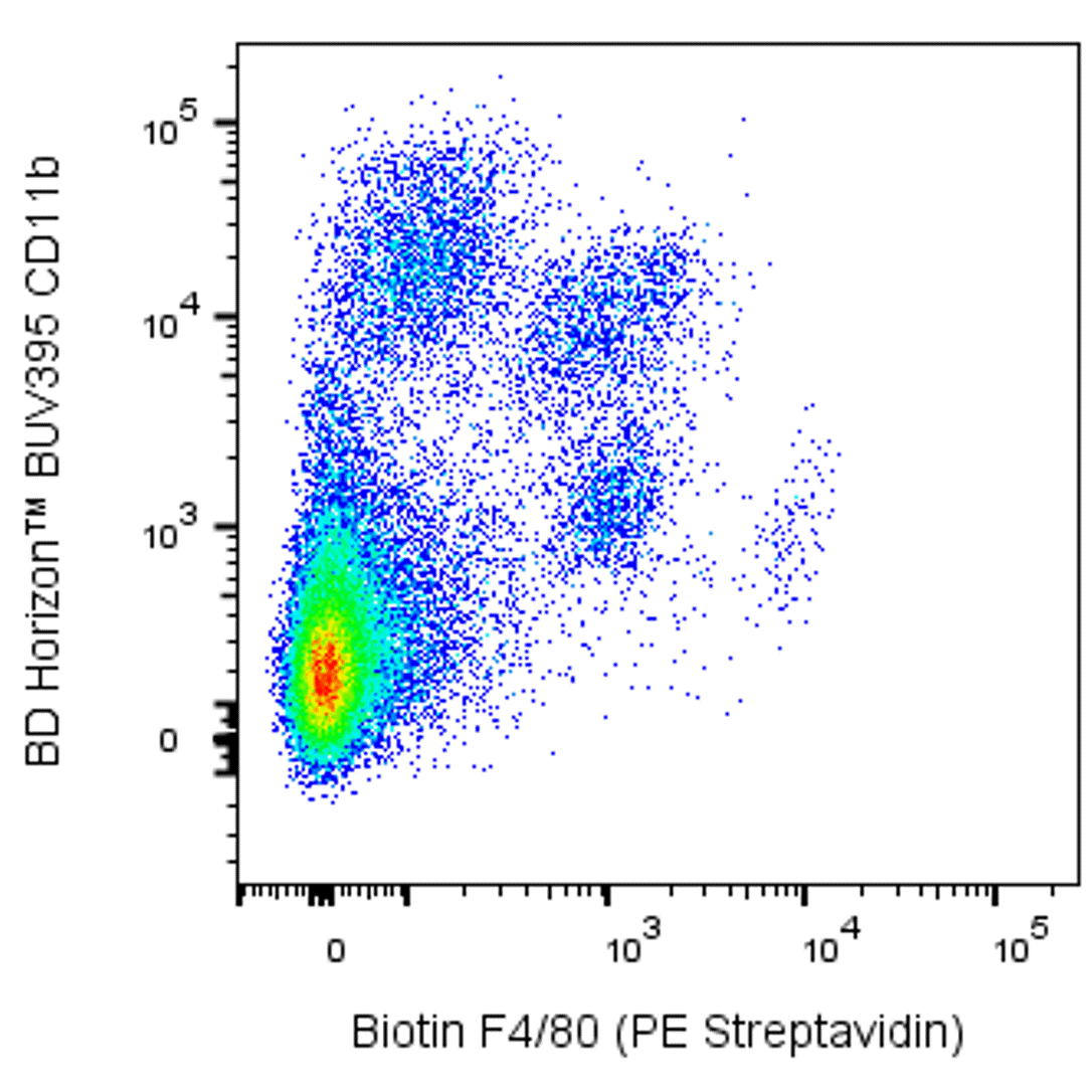 Bd Biotin Rat Anti Mouse F480 캐시바이