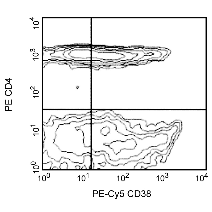 BD PE-Cy5 Mouse Anti-Human CD38 | 캐시바이