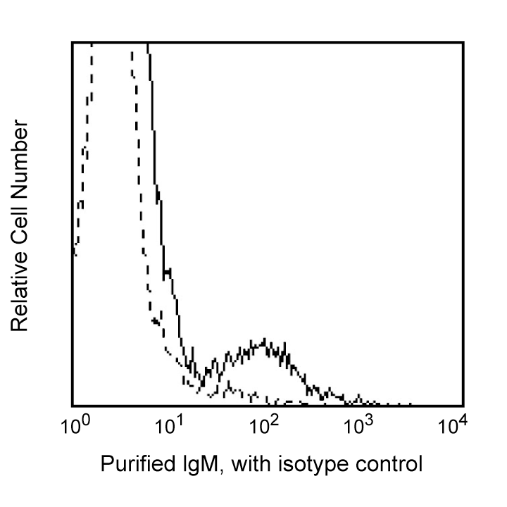 BD Purified Mouse Anti-Human IgM | 캐시바이